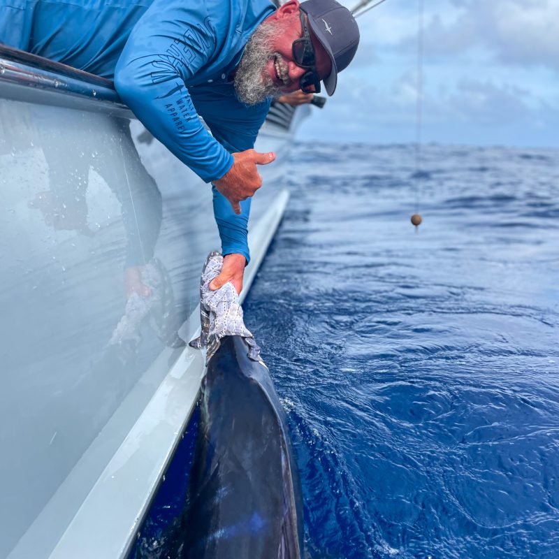 Gladiator Series Tees – Undertow Saltwater Apparel